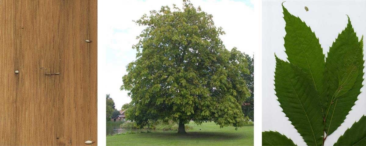 Reclaimed Wood | Avalis Wayfinding Solutions – Avalis Wayfinding Solutions